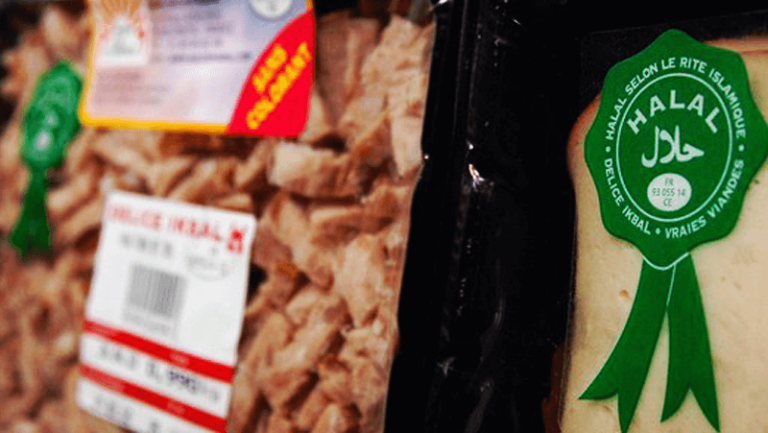 √ Cara Cek dan Daftar Sertifikasi Halal via Aplikasi Halal MUI